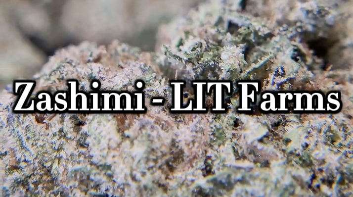 Zashimi – LIT Farms THCa Flower Review – The Highest Club